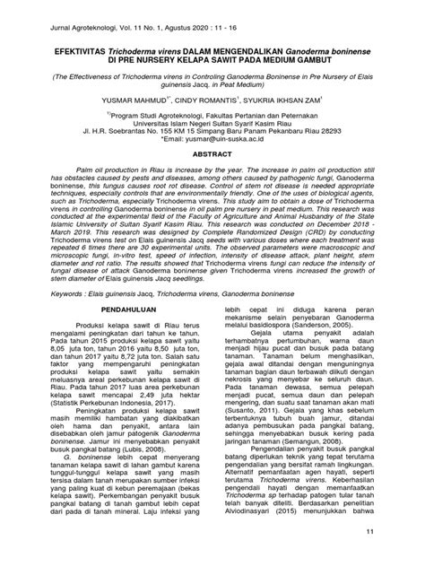 Efektivitas Trichoderma Virens Dalam Mengendalikan Ganoderma Boninense