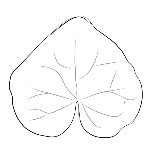 Лист лианы In 2022