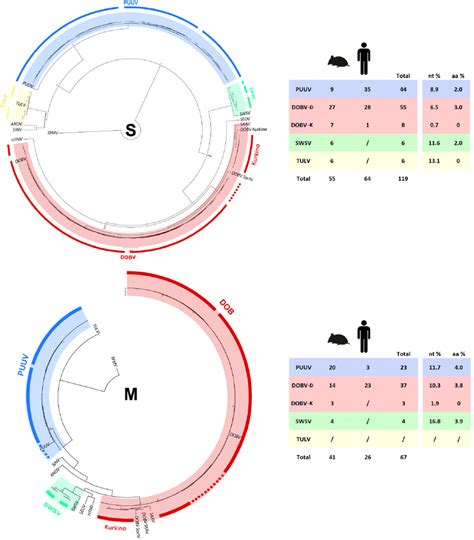 Tree Representing Bayesian Phylogenetic Analyses Of S Segment 306 Bp