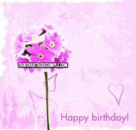 Tarjetas De Feliz Cumpleaños Con Flores