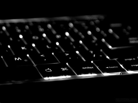 Hardware Computer Keyboard Computer Background Best Free Photos