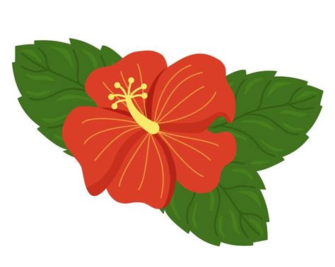 Hibiscus Flower Vector Art Icons And Graphics For Free Download