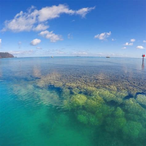 Activities At Kaneʻohe Bay Sandbar Captain Bruce Hawaii