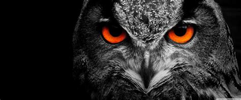 3840x1600 Wallpapers Top Free 3840x1600 Backgrounds Wallpaperaccess