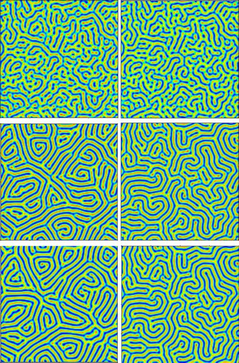 Color Online Starting From Random Initial Conditions Spiral Defect
