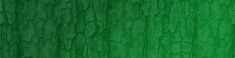 Benefits Of Mulching Around Trees Why Its Essential