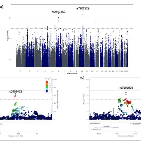 Stage 2 Mega Analysis Results A Manhattan Plot Of Stage 2 Gwas