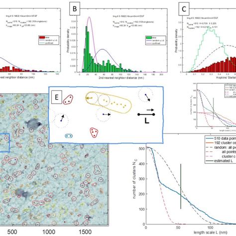 Measures Of Clustering Cluster Identification And Footprint
