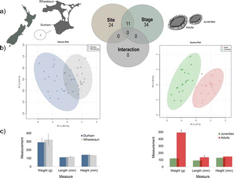 Overview Of Metabolomics Results As A Venn Diagram A Pca Plots B