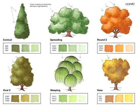 How To Draw A Tree With Markers