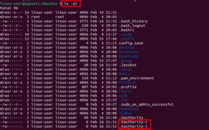 Troubleshoot PuTTY X Proxy Unsupported Authorization Protocol