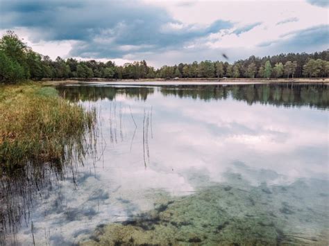 Одне з найглибших волинських озер з висоти пташиного польоту Фото
