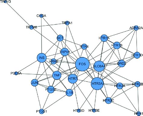Network Of Interactions Among 31 Major Nodes Download Scientific Diagram