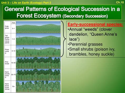 Why Are There So Many Species On Earth Ppt Download