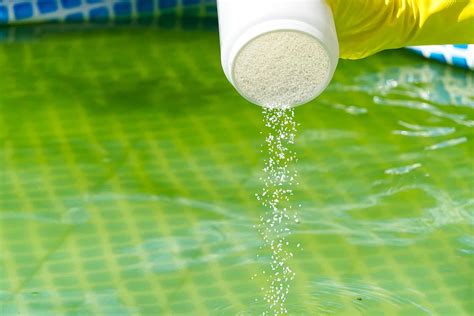 Swimming Pool Algae Common Types Causes And Best Treatments