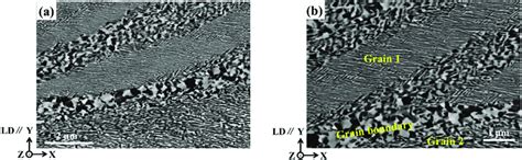 bse micrographs of the ti 7333 alloy after the isothermal compression