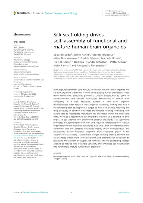 Pdf Silk Scaffolding Drives Self Assembly Of Functional And Mature Human Brain Organoids