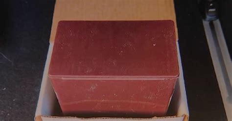 유품 상자서 피 냄새와 액체⋯그 안엔 아들 뇌 담겨 있었다