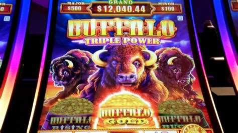 Buffalo Triple Power Theyre Joining The Club With This Type Of Game