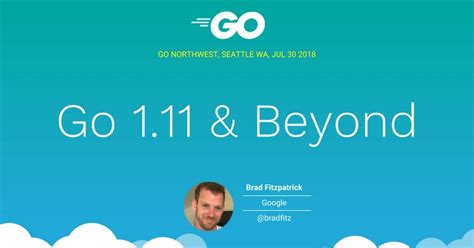 go 1 11 and beyond r golang