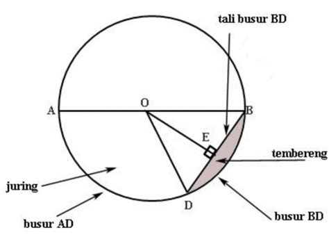 Pengertian Pseudocode Fungsi Struktur And Contohnya [lengkap]