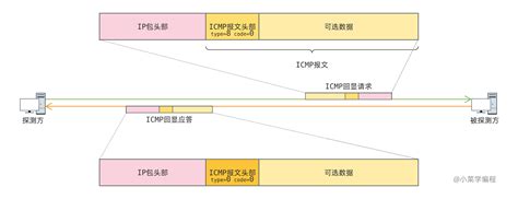 Ping命令原理 小菜学网络