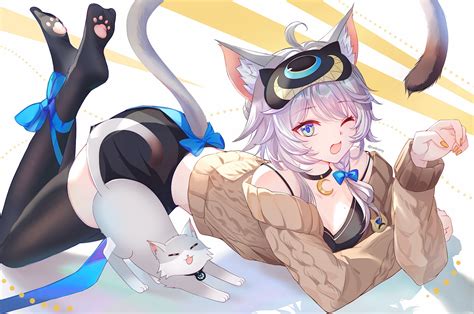 Celtreny Cipher Honkai Star Rail Cipher Sweet Slumber Honkai