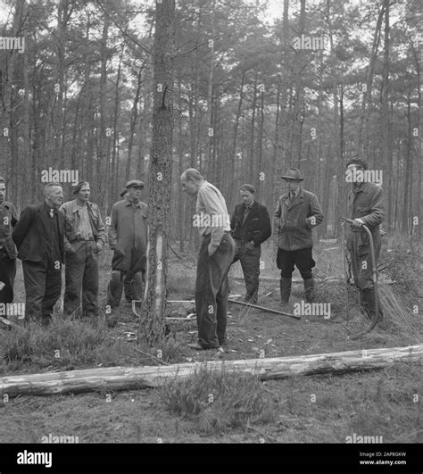 Workers Forests Tools Tree Trunks Date Undated Keywords Workers Tree Trunks Forests