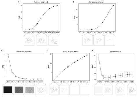 robustness to geometric brightness and contrast variations the mae is