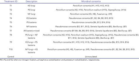 Formulation Of Microbial Consortia For Seedbed Testing Download Scientific Diagram