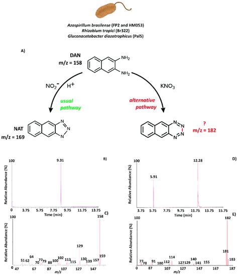 Gc Ms Analyses For Nat Complex Detection A Typical And Alternative