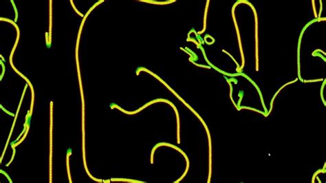 Neural Cellular Automata Wgpu Youtube