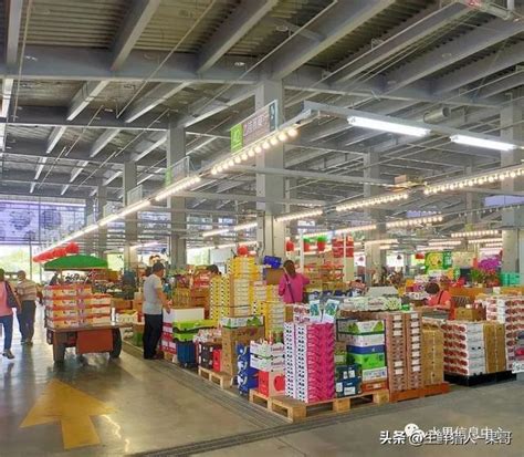 台湾最美水果批发市场—新化果菜市场 台湾 新浪新闻