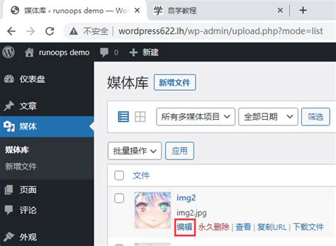 Wordpress 编辑媒体 自学教程