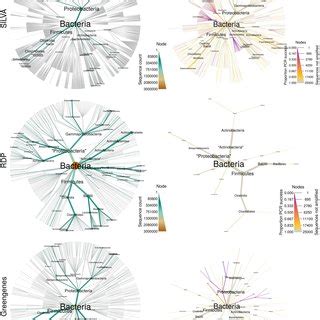 Metacoder Can Be Used With Any Type Of Data That Can Be Organized Download Scientific Diagram