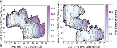 Figures And Data In Dynamic Allosteric Networks Drive Adenosine A1 Receptor Activation And G