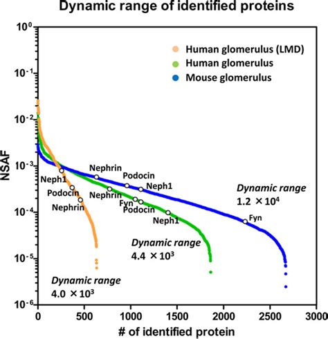 Comparison Of Dynamic Range Of Proteomic Analyses Dynamic Ranges Of Download Scientific