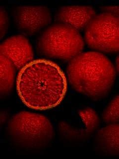 Raspberry Pi Model B IoT Tutorial Connecting DHT Temperature And Humidity Sensor To Cloud