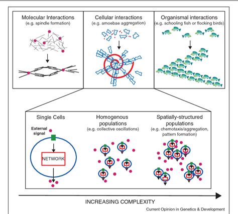Figure 1 From Approaching The Molecular Origins Of Collective Dynamics