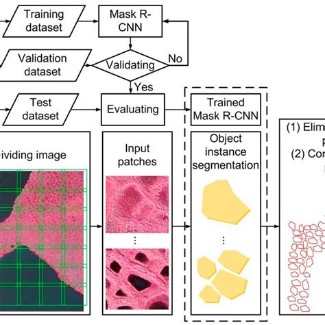 general workflow of automated detection delineation and classification