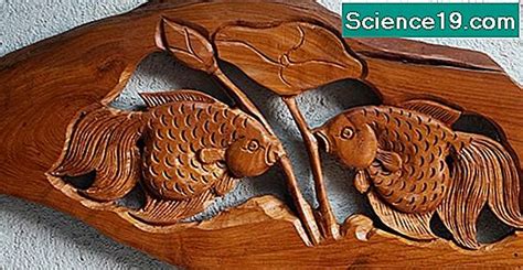 Как да направите графика на полу лог в Excel 💫 Научно Популярен Мултимедиен Портал 2025