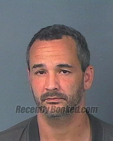 Recent Booking Mugshot For Mika Leii Thorpe In Hernando County Florida