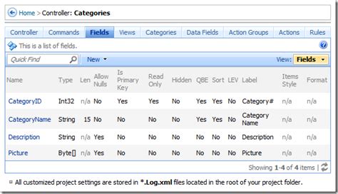 code on time development project designer fields