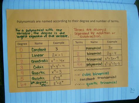 Naming Polynomials Graphic Organizer Math Love