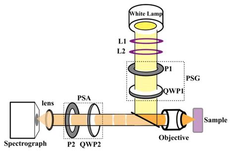 The Schematics Of The Spectral Mueller Matrix Polarimetry Set Up Used
