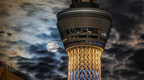 Sky Tree Moon 2022 Bing Wallpaper Download