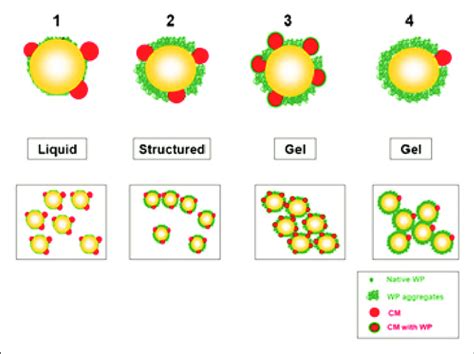 Schematic Of The Different Structures Induced By Composition And