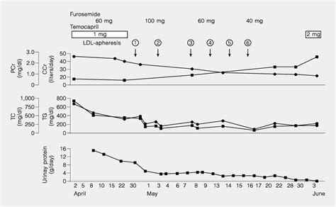 Figure 2 From Ldl Apheresis For Diabetic Nephropathy A Possible New Tool Semantic Scholar