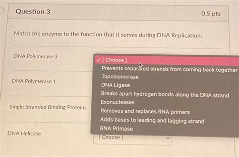 solved match the enzyme to the function that it serves