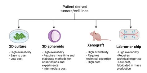 Summary Of Patient Derived Tumor Models And Cell Lines Various Models Download Scientific